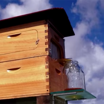 Self Harvesting Beehive - MoreInspiration
