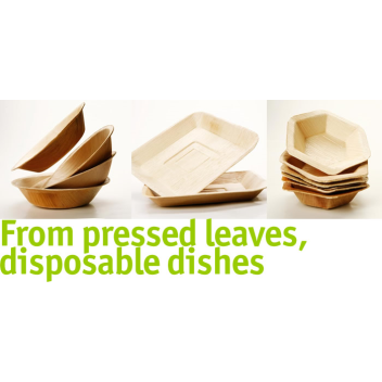 Disposable dishes from leaves - MoreInspiration