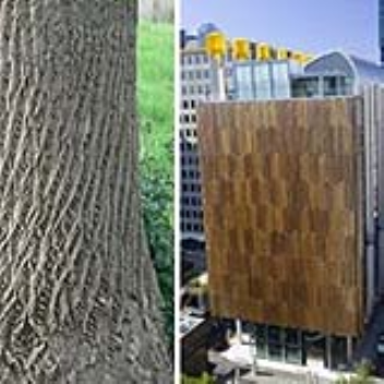 Tree bark as insulation - MoreInspiration