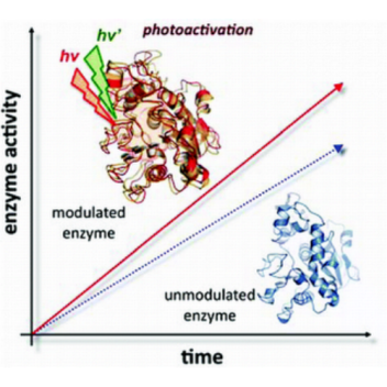 Light boosts enzyme function by 3000% - MoreInspiration
