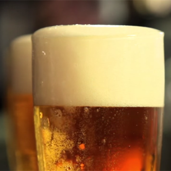 The Perfect Beer Head - MoreInspiration