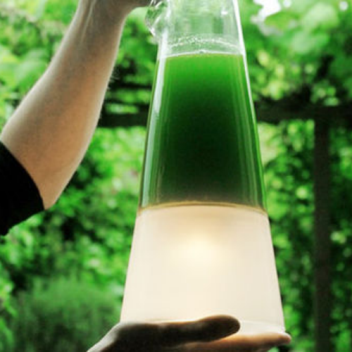 The algae powered Eco-Lamp - MoreInspiration