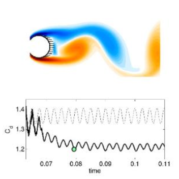 Feather coating to reduce drag - MoreInspiration