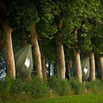 Tear shaped tree tent - MoreInspiration