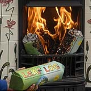 Leaf log - MoreInspiration